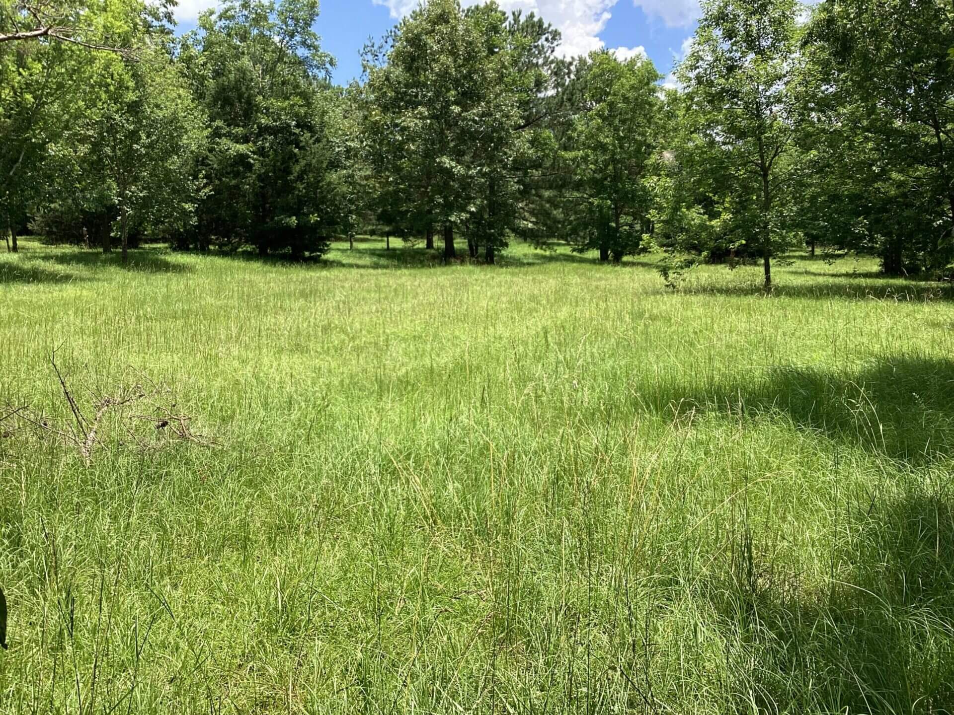 REDUCED PRICE – BROAD STREET ROAD HOUSE AND 10 ACRES – BUTLER COUNTY ...