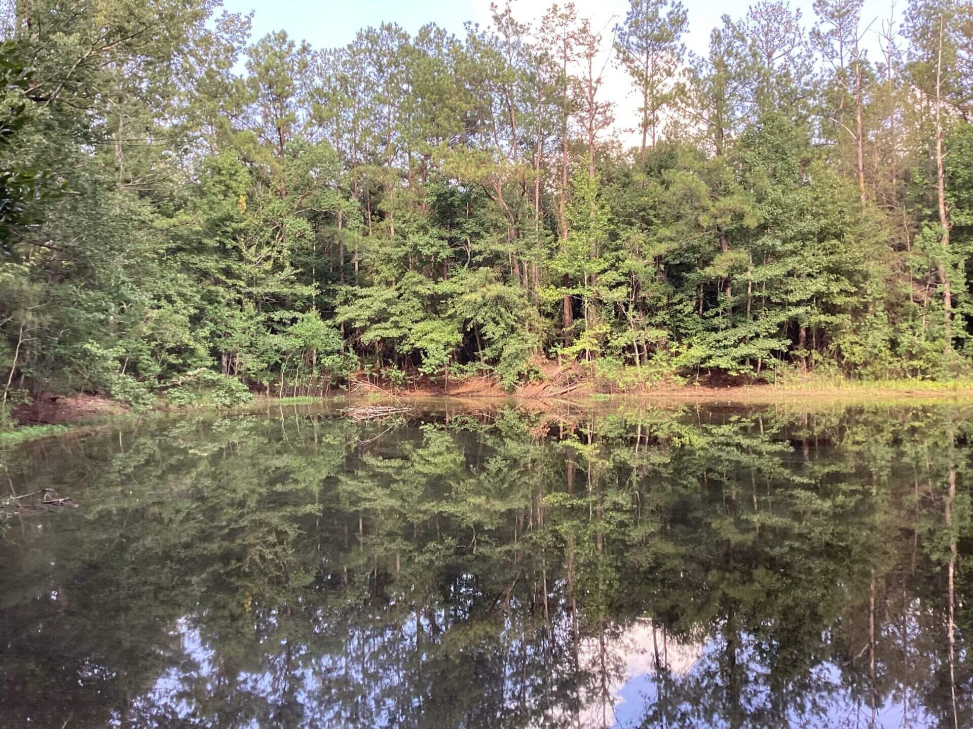 HWY 31 HOUSE AND 40 ACRES – BUTLER COUNTY, ALABAMA | Butler Land ...