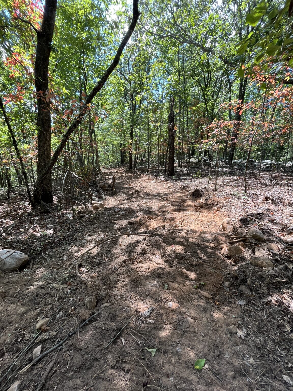 Home [www.butlerlandandtimber.com]