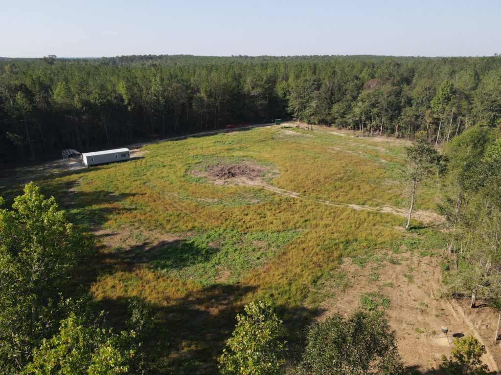 Alabama | Butler Land & Timber Co | Land Purchasers