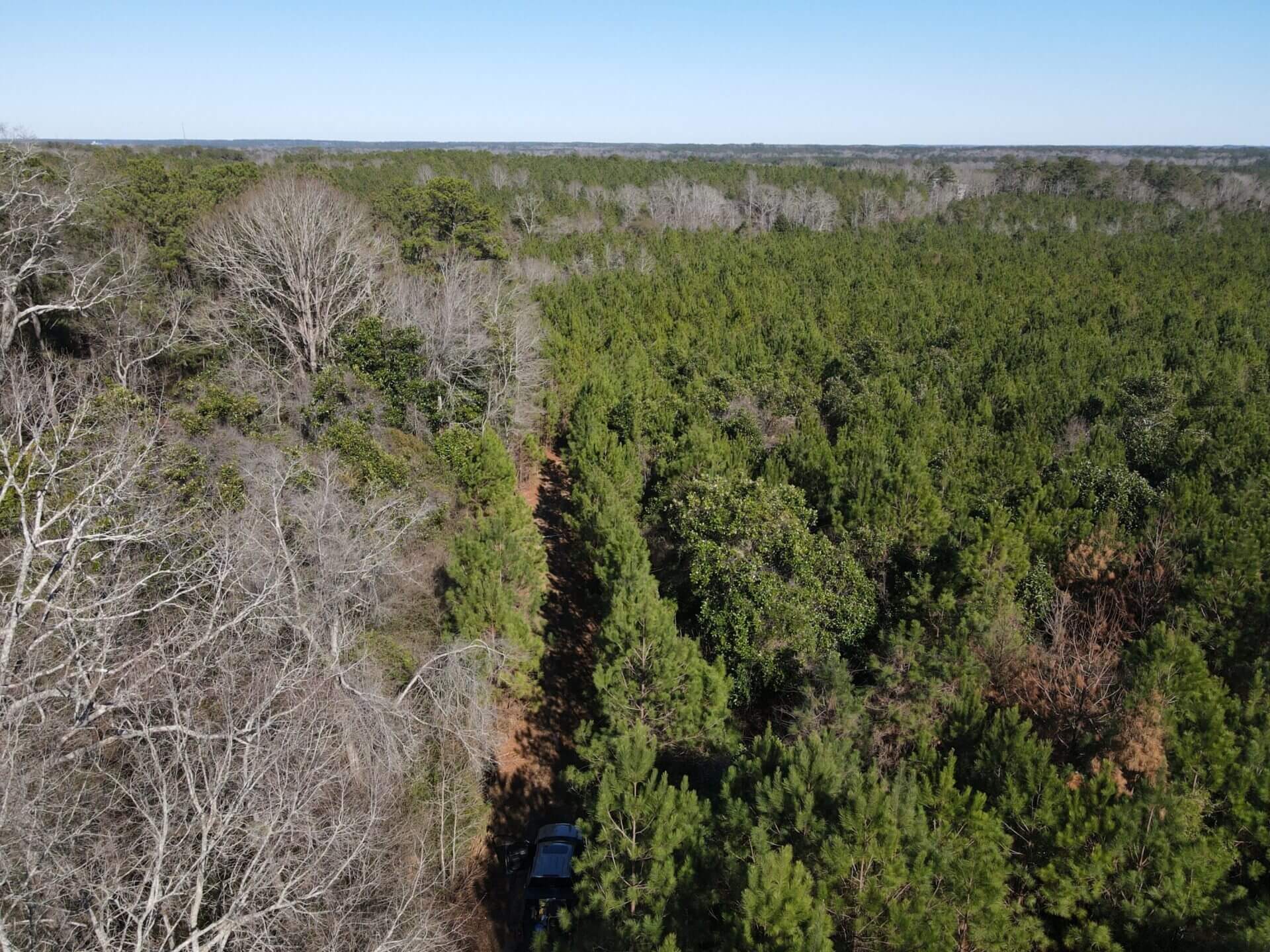 VENEER MILL ROAD TRACT – 46 ACRES – BUTLER COUNTY, ALABAMA | Butler ...