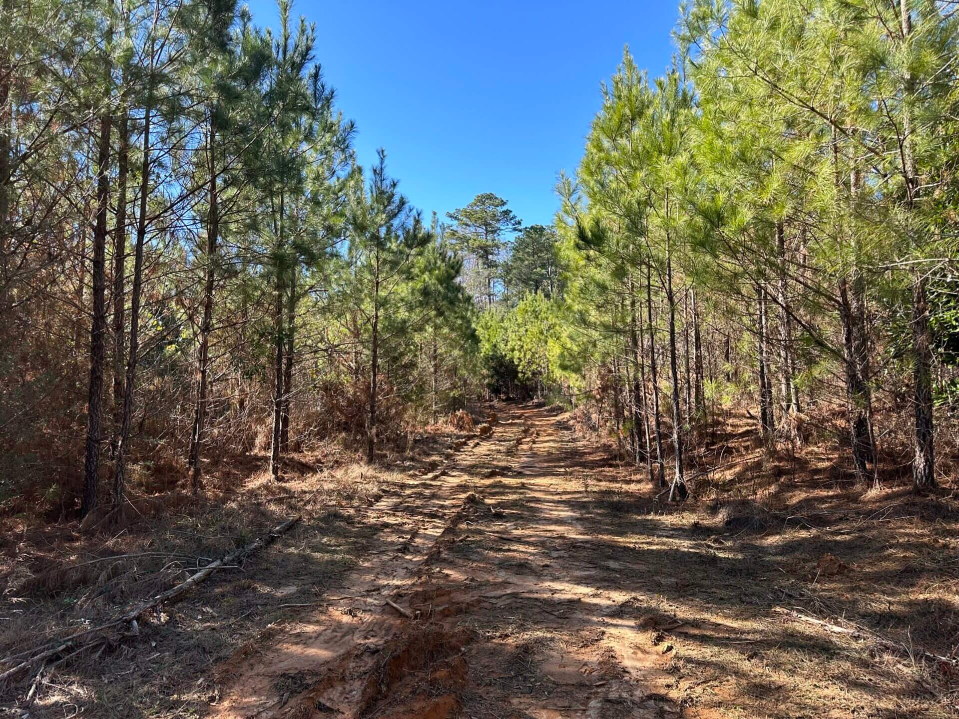 VENEER MILL ROAD TRACT – 46 ACRES – BUTLER COUNTY, ALABAMA | Butler ...