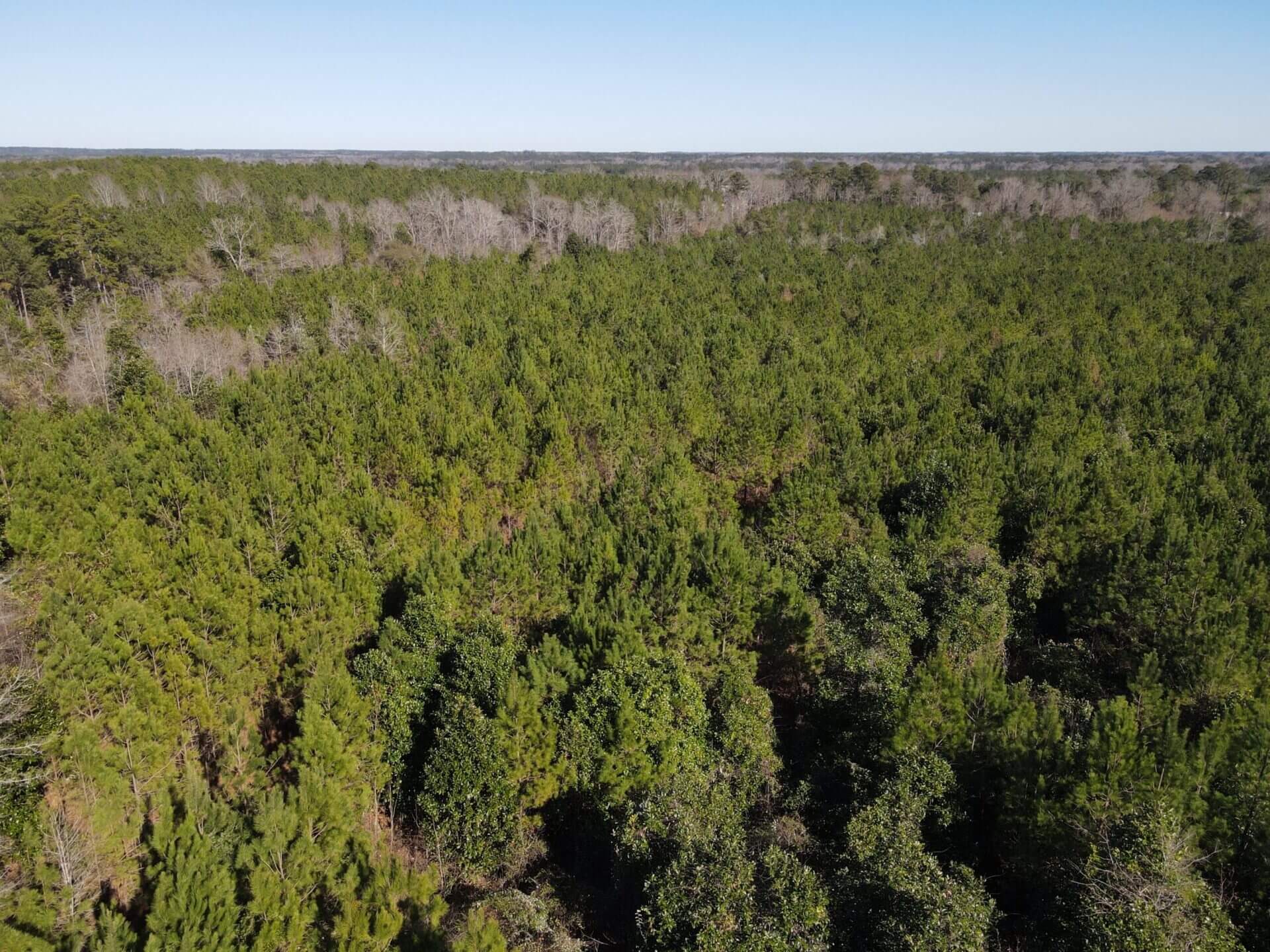 VENEER MILL ROAD TRACT – 46 ACRES – BUTLER COUNTY, ALABAMA | Butler ...