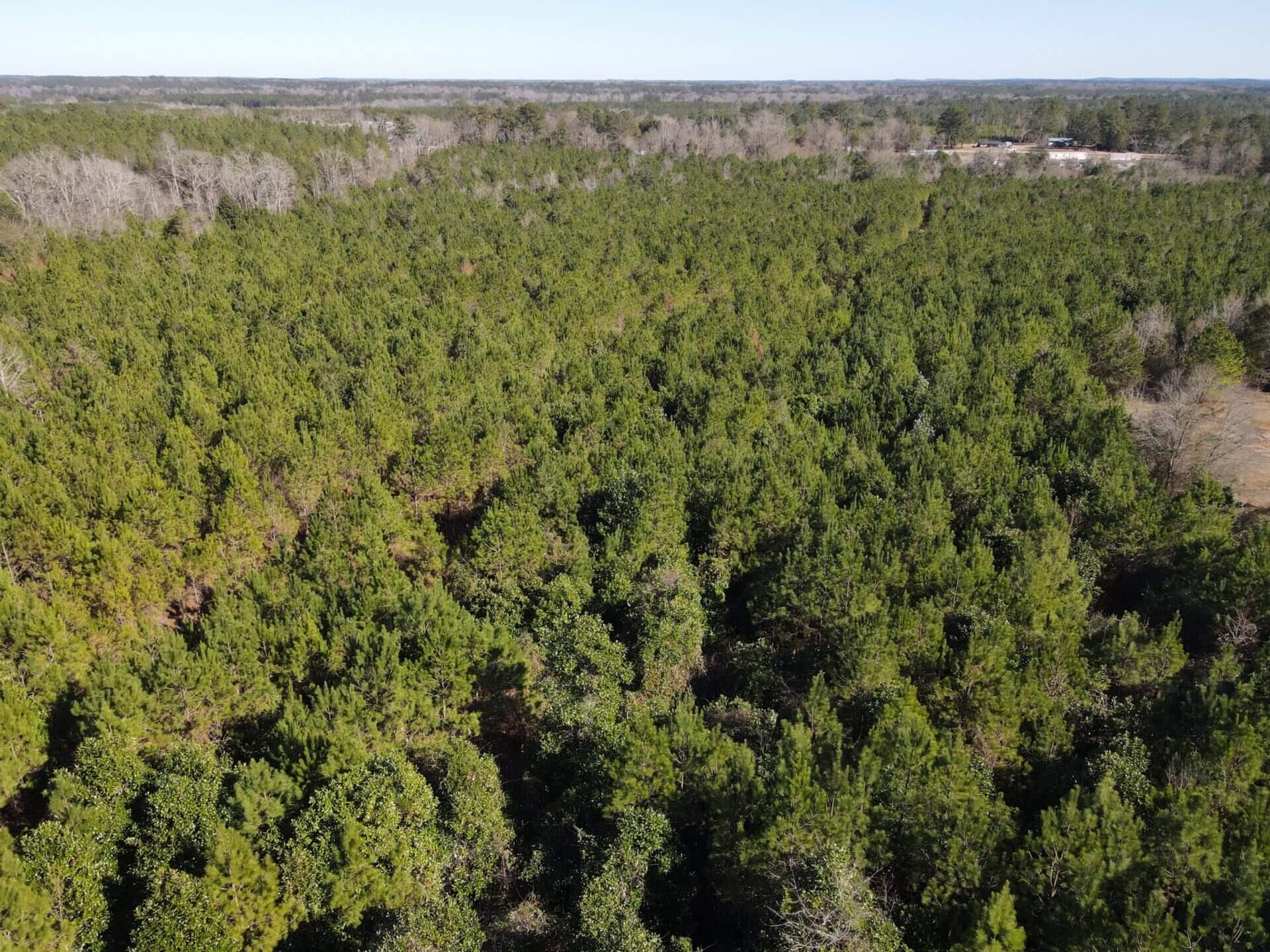 VENEER MILL ROAD TRACT – 46 ACRES – BUTLER COUNTY, ALABAMA | Butler ...