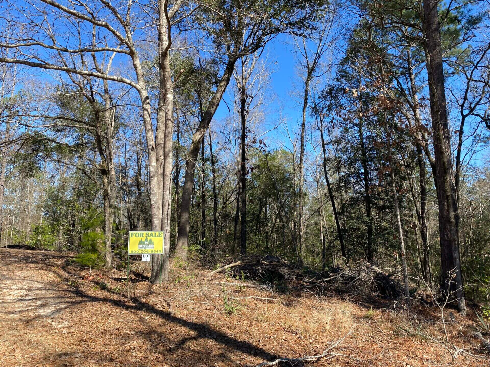 RECO ROAD LOTS 3,4,5 – WASHINGTON COUNTY, ALABAMA | Butler Land & Timber Co