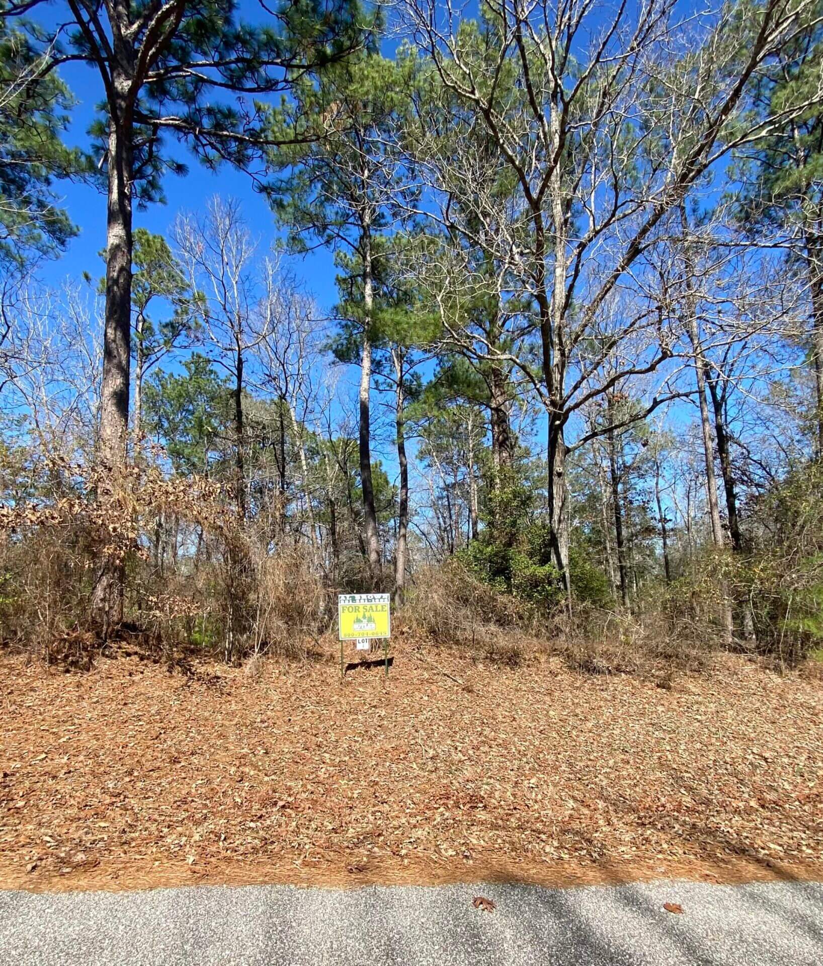 RECO ROAD LOTS 3,4,5 – WASHINGTON COUNTY, ALABAMA | Butler Land & Timber Co