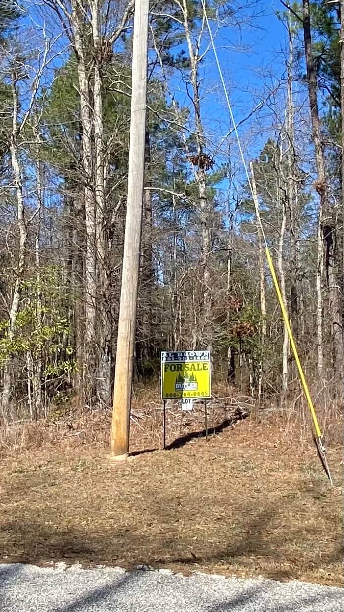 RECO ROAD LOTS 3,4,5 – WASHINGTON COUNTY, ALABAMA | Butler Land & Timber Co
