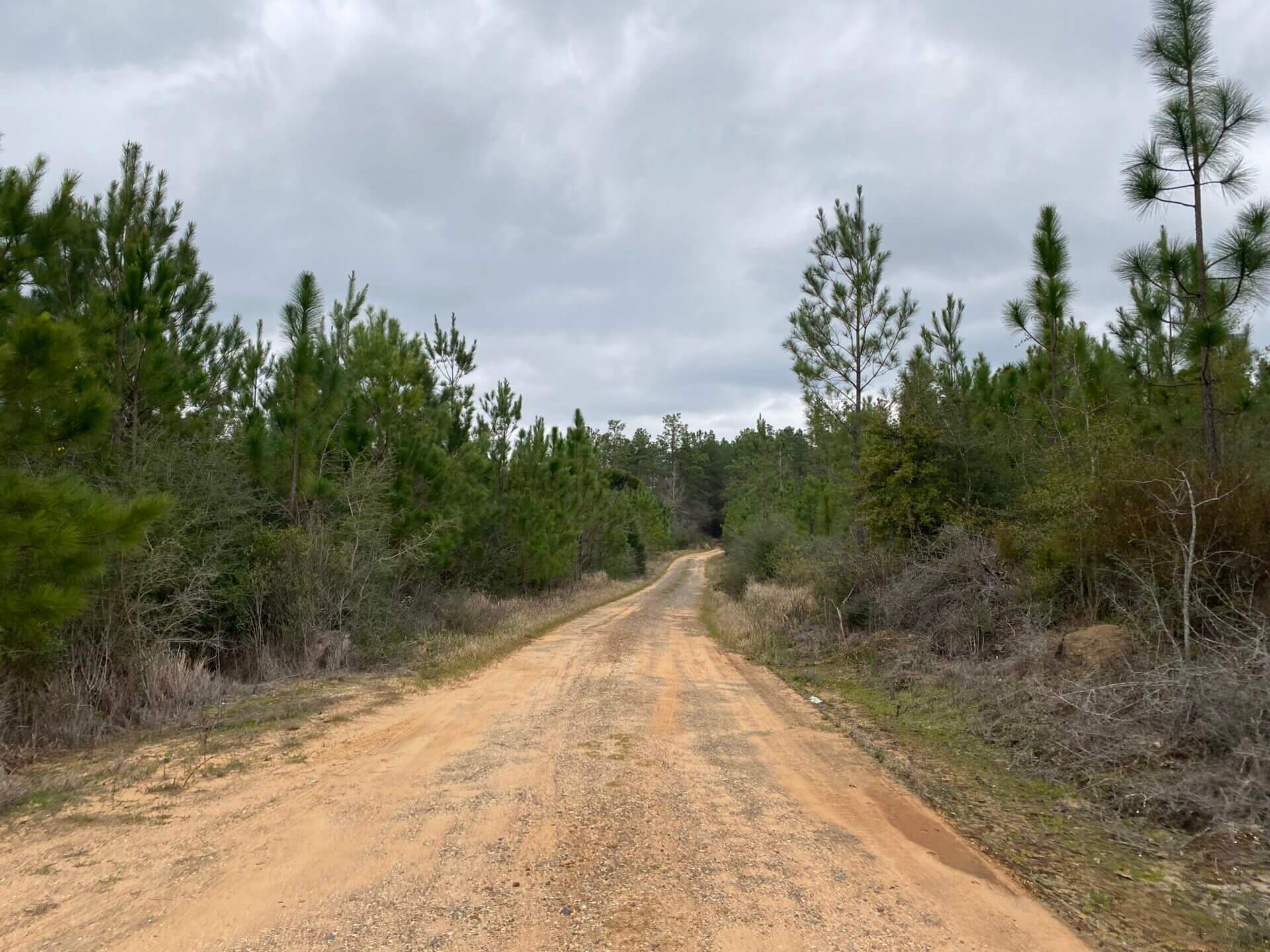 SNOW ROAD – 40 ACRES – MOBILE COUNTY, ALABAMA | Butler Land & Timber Co