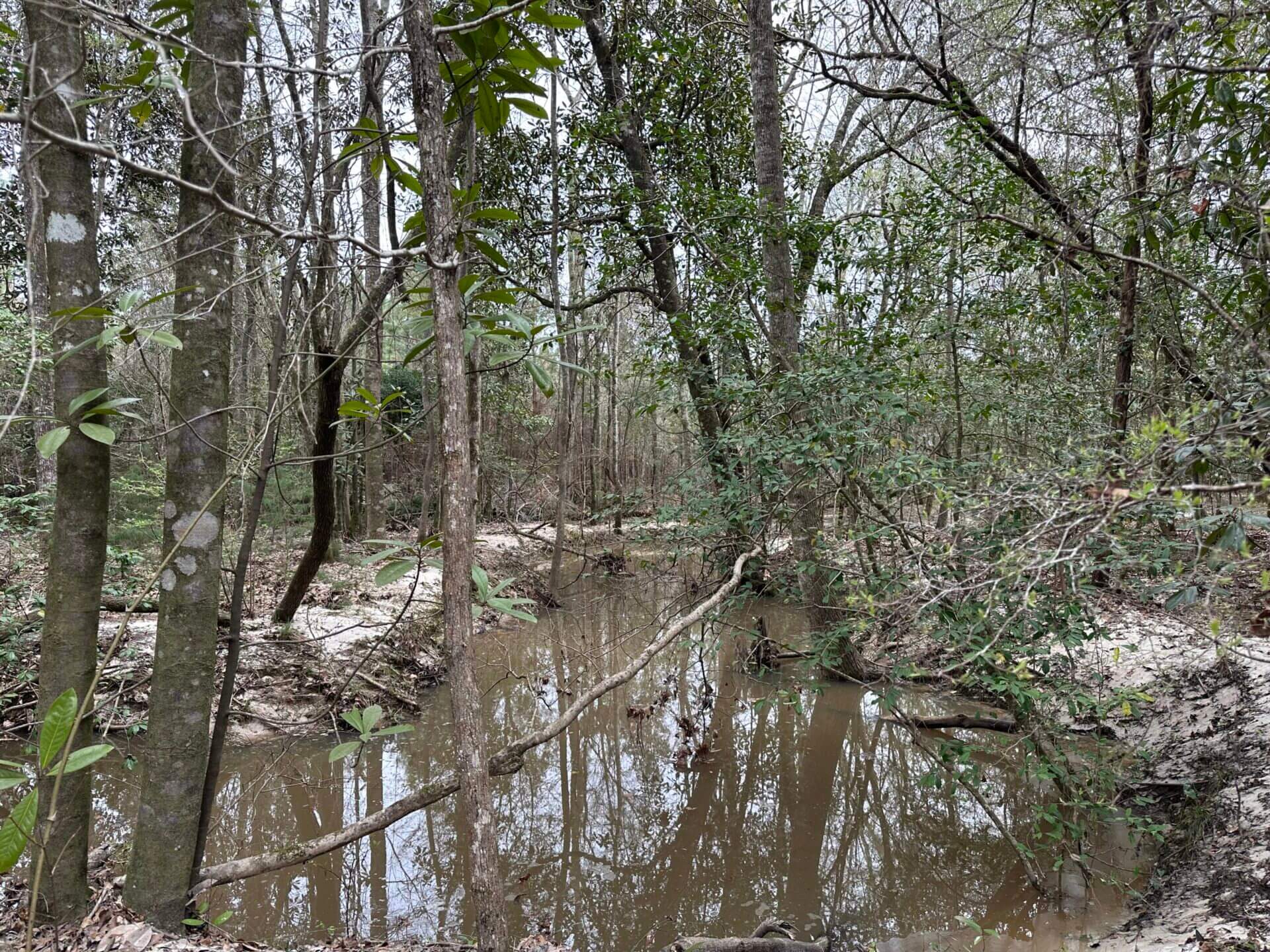 CONECUH RIVER TRACTS – 243 ACRES – CRENSHAW COUNTY, ALABAMA | Butler ...