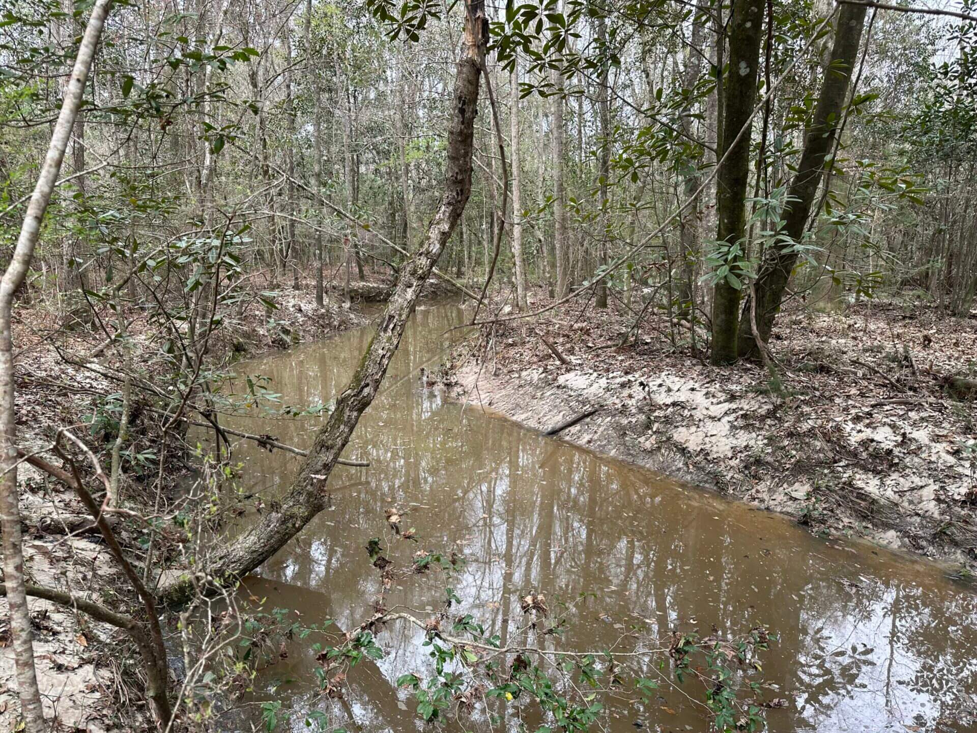 CONECUH RIVER TRACTS – 243 ACRES – CRENSHAW COUNTY, ALABAMA | Butler ...