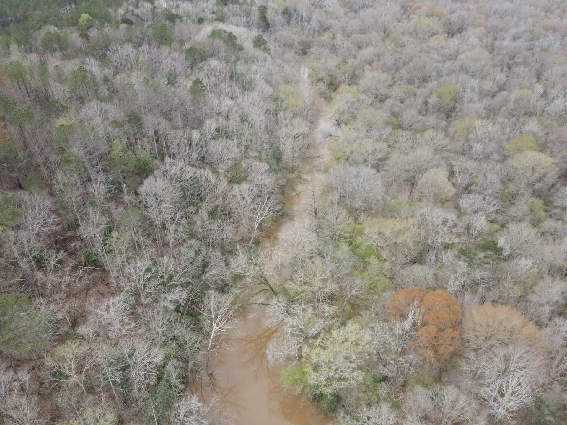 CONECUH RIVER TRACTS – 243 ACRES – CRENSHAW COUNTY, ALABAMA | Butler ...