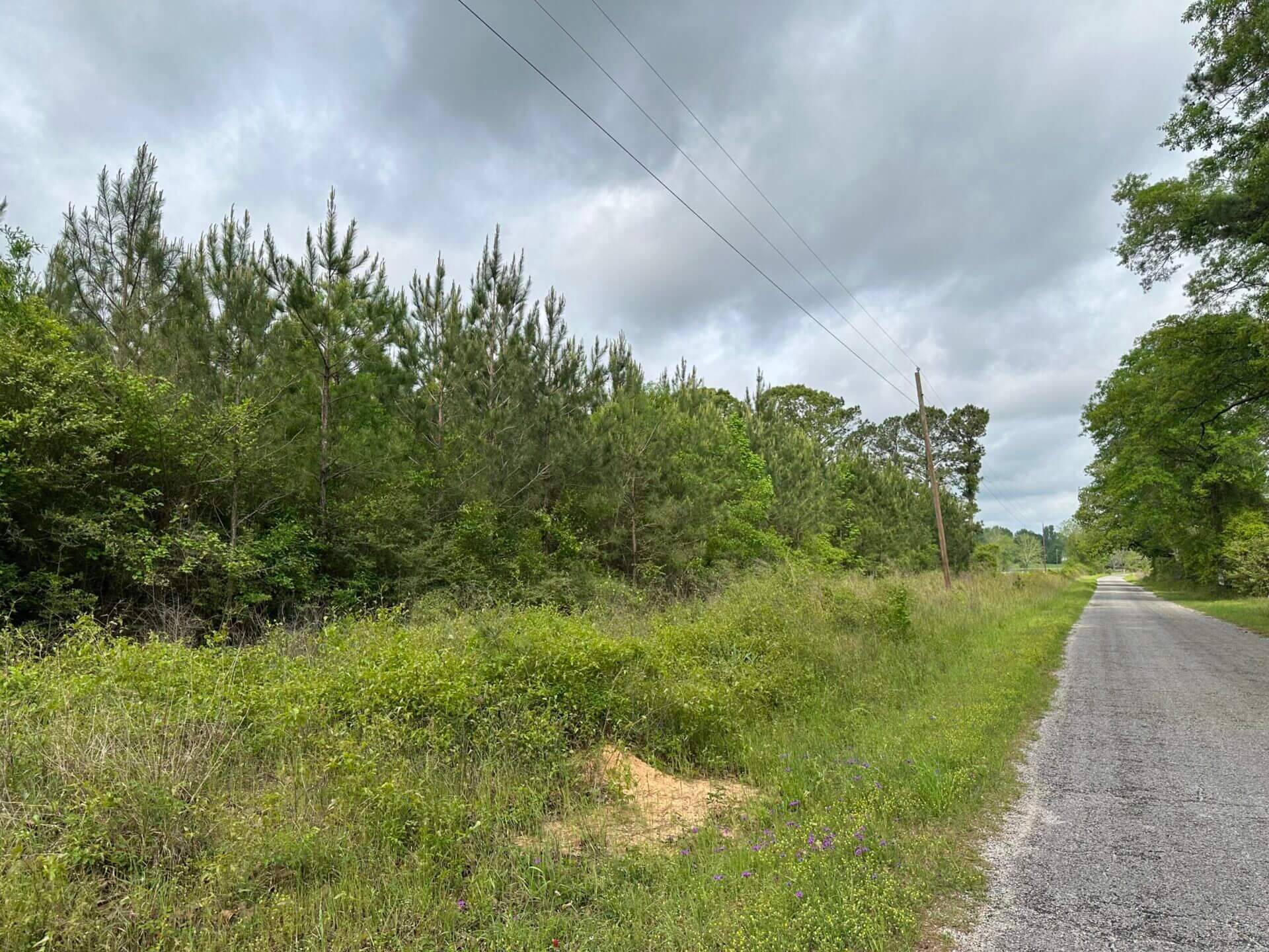WALLER RIDGE ROAD SOUTH TRACT – 32 ACRES – WAYNE COUNTY, MISSISSIPPI ...