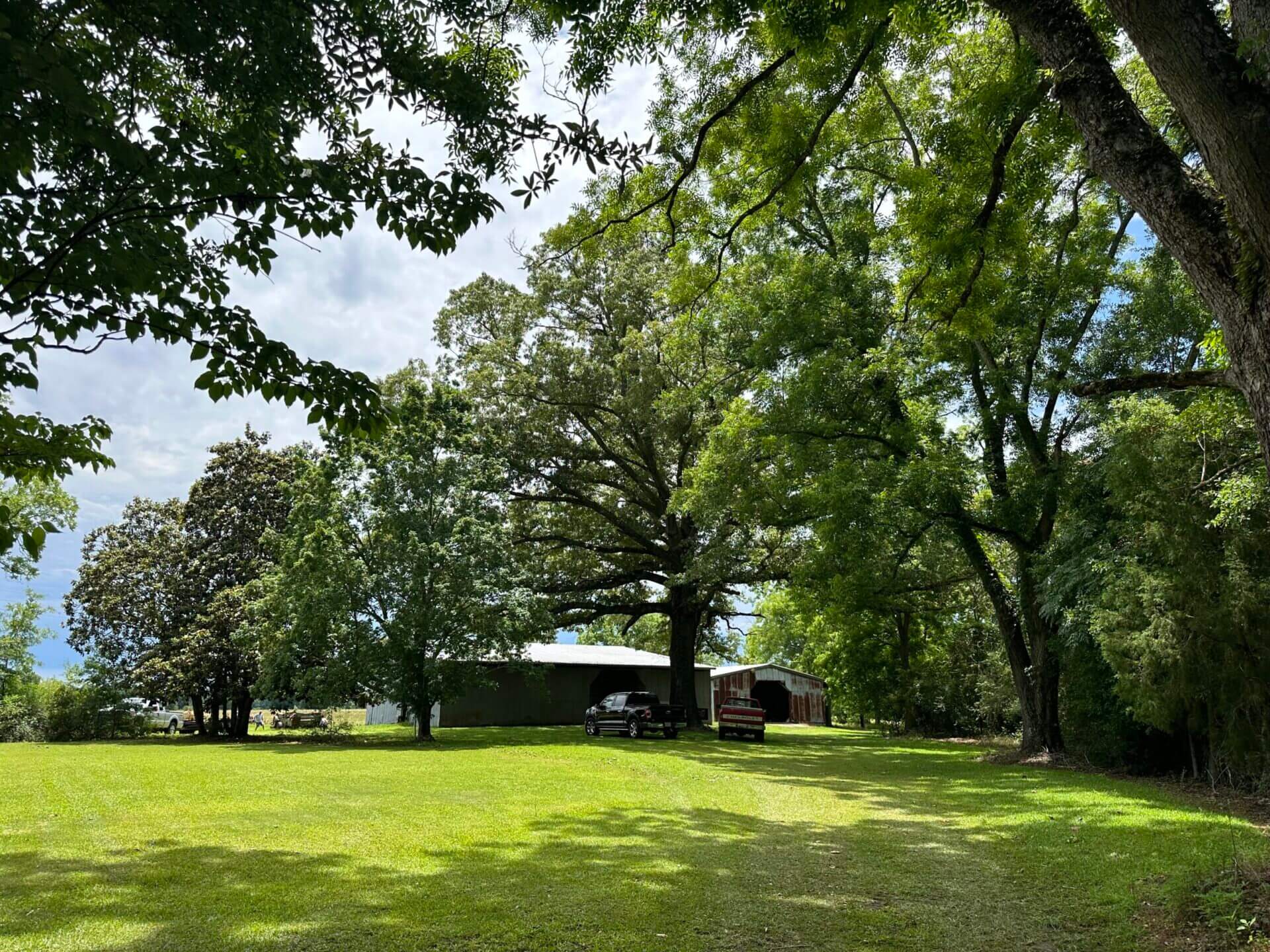 LOWERY ROAD FARM – 32.89 ACRES – BUTLER COUNTY, ALABAMA | Butler Land ...