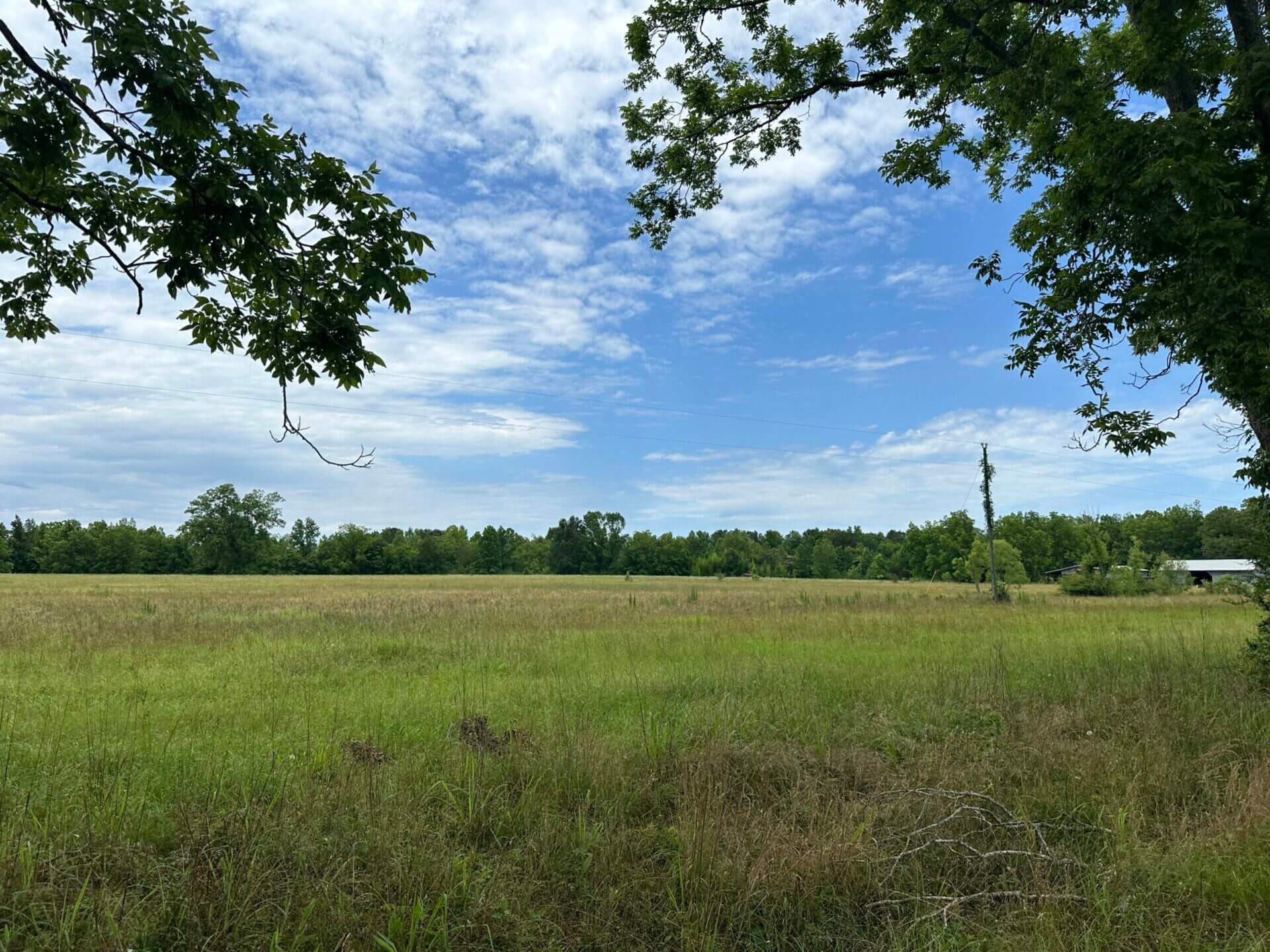 LOWERY ROAD FARM – 32.89 ACRES – BUTLER COUNTY, ALABAMA | Butler Land ...