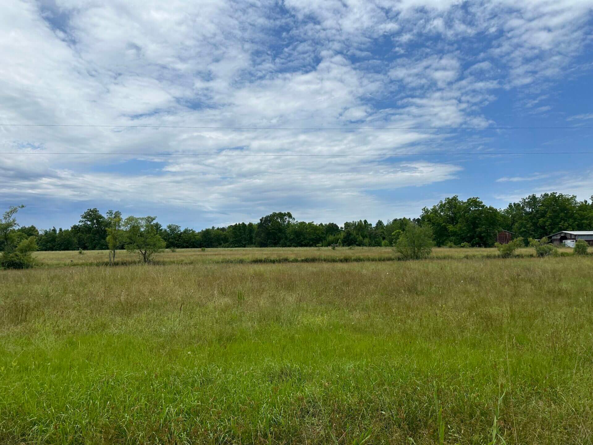 LOWERY ROAD FARM – 32.89 ACRES – BUTLER COUNTY, ALABAMA | Butler Land ...