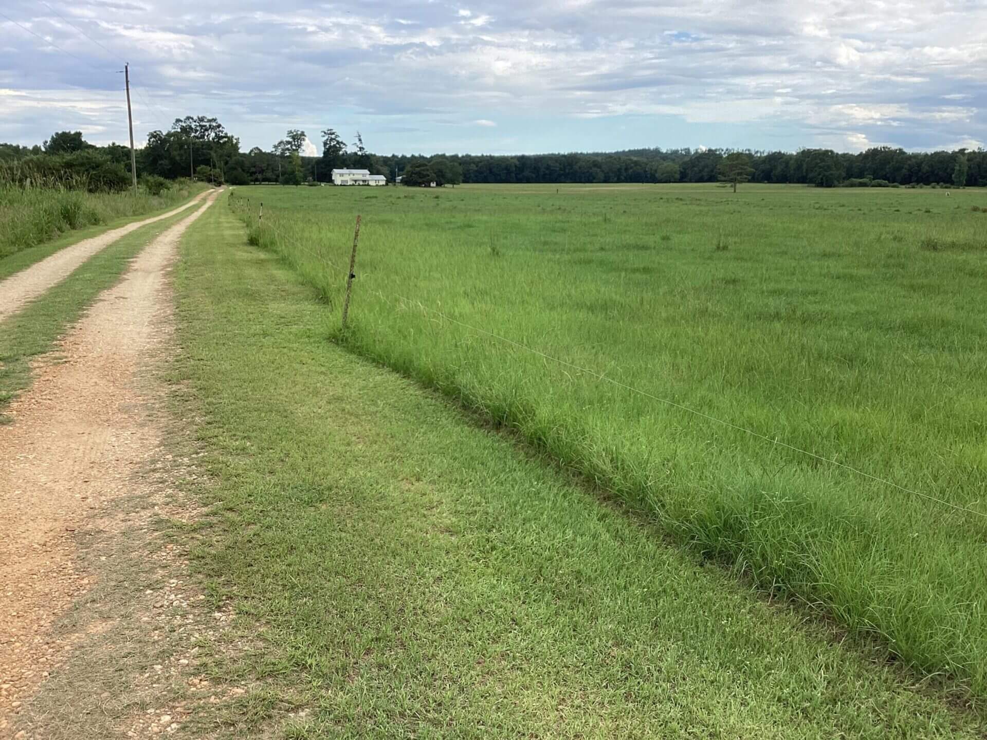 DAVIS ROAD HOUSE AND LAND – 117 ACRES – BRANTLEY, ALABAMA | Butler Land ...