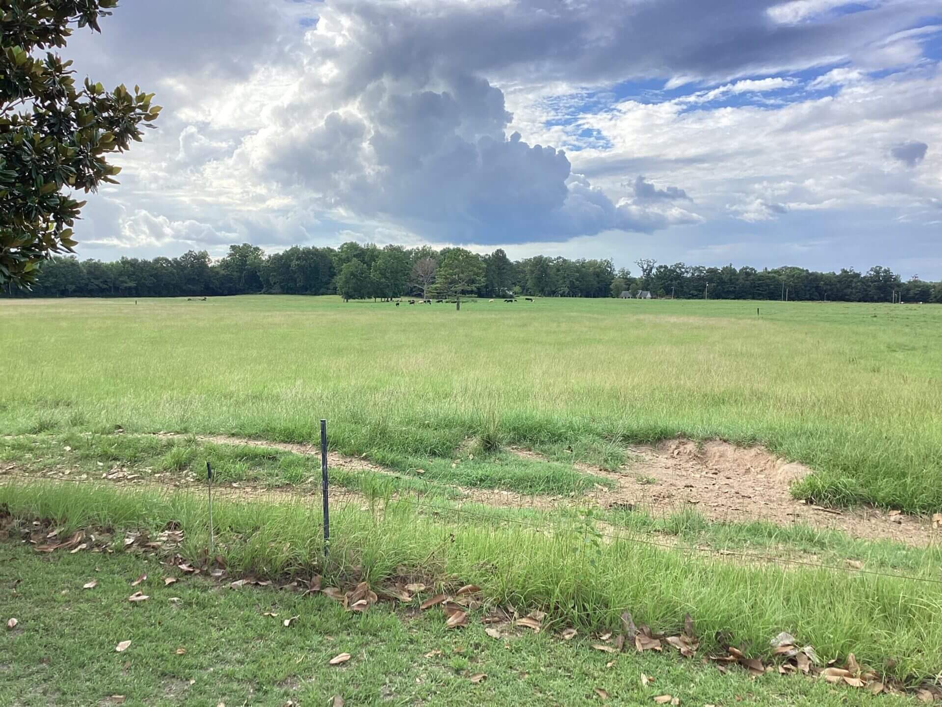 DAVIS ROAD HOUSE AND LAND – 117 ACRES – BRANTLEY, ALABAMA | Butler Land ...