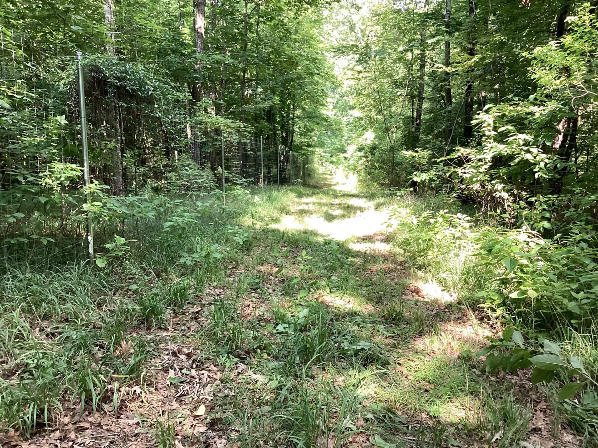 ROCKY MOUNT ROAD TRACT – 100 +/- ACRES – CRENSHAW COUNTY, ALABAMA ...