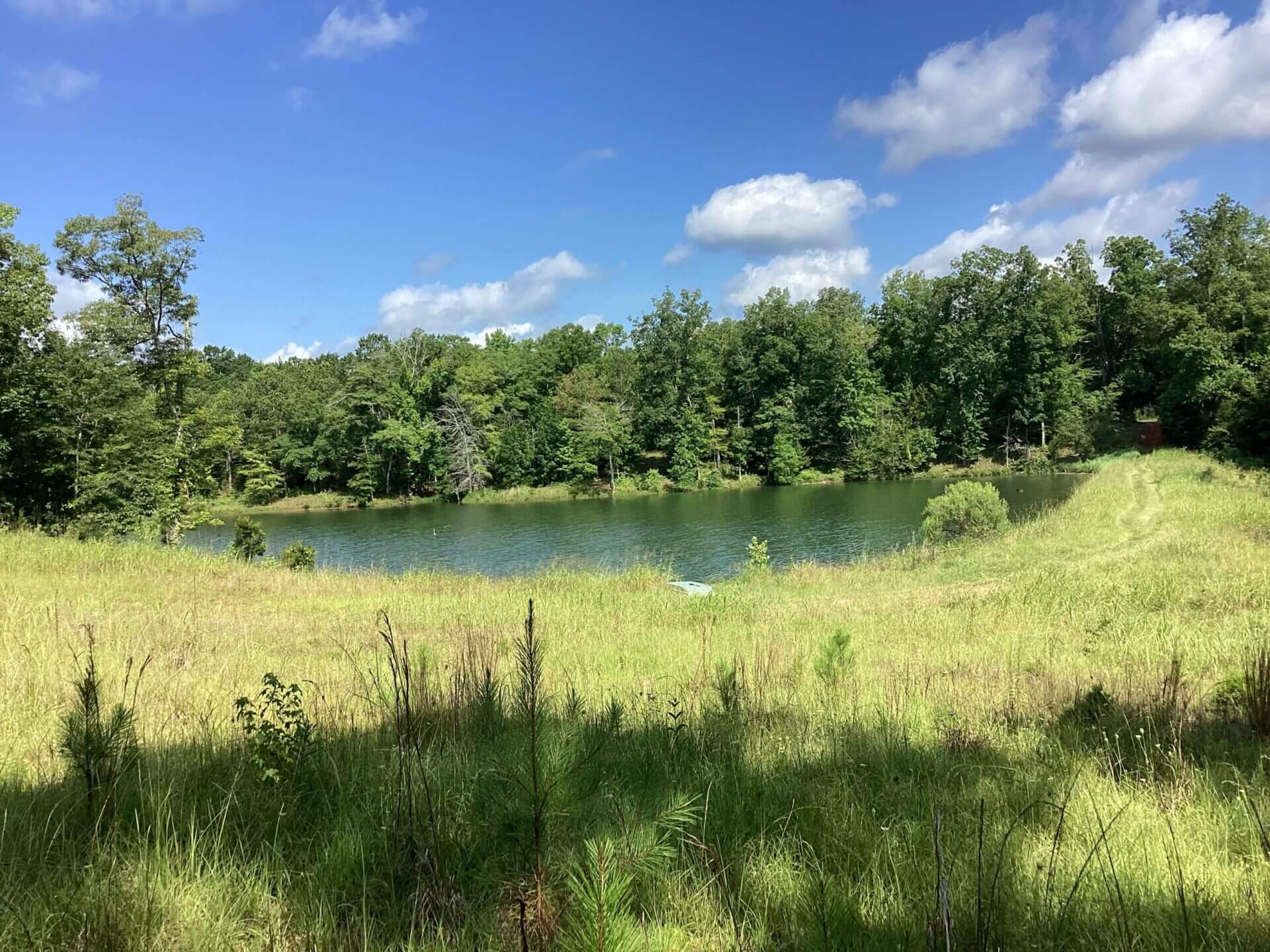 ROCKY MOUNT ROAD TRACT – 100 +/- ACRES – CRENSHAW COUNTY, ALABAMA ...