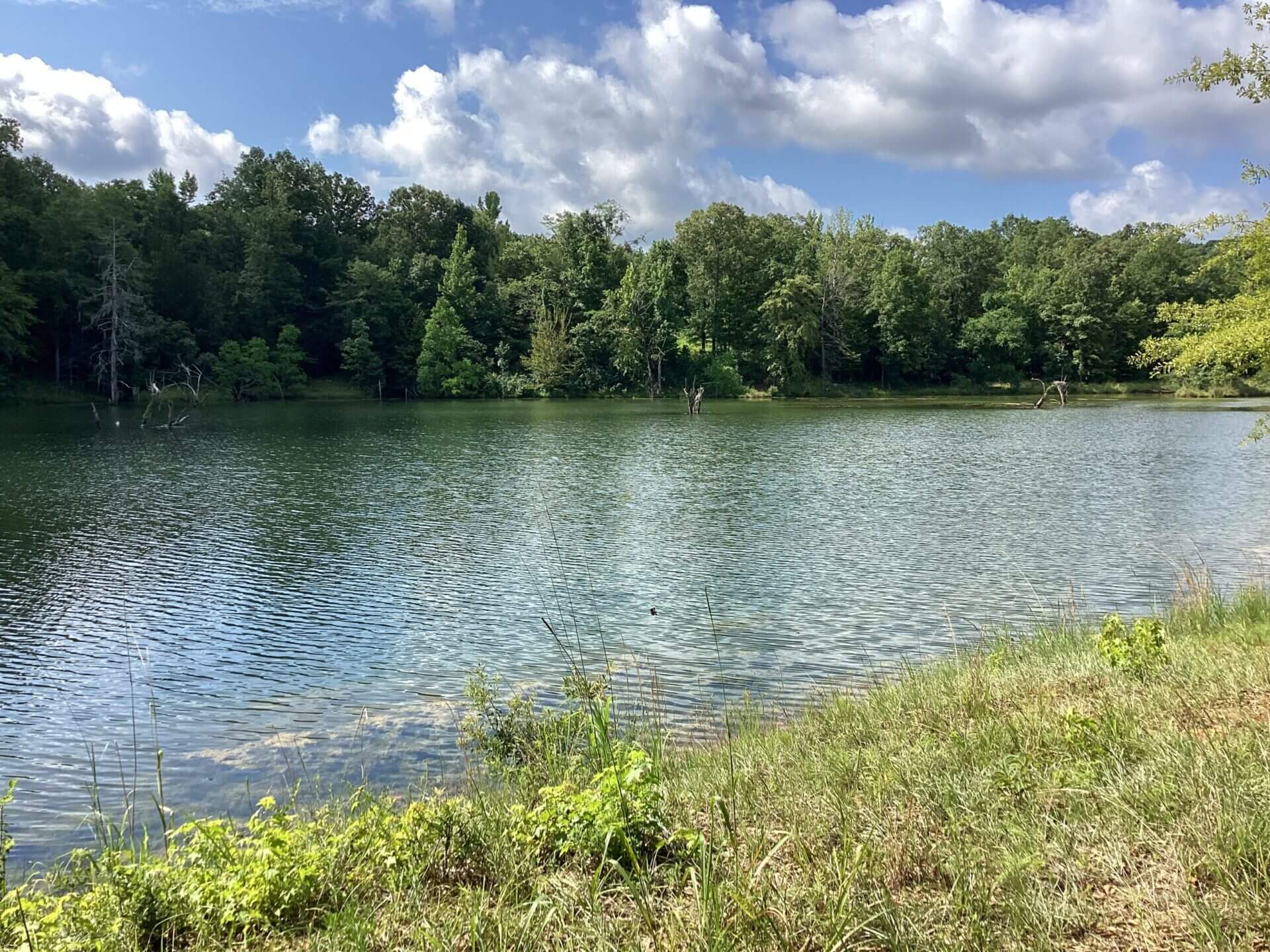 ROCKY MOUNT ROAD TRACT – 100 +/- ACRES – CRENSHAW COUNTY, ALABAMA ...