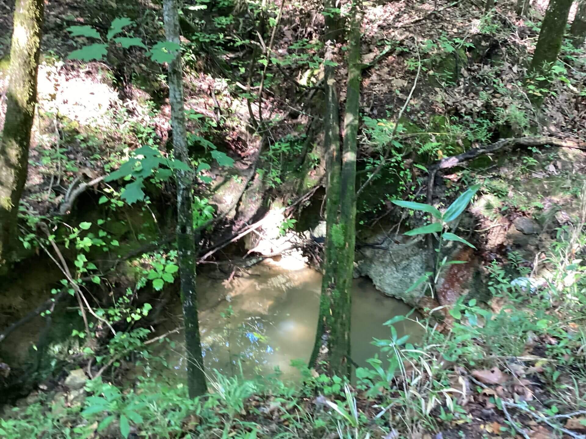 ROCKY MOUNT ROAD TRACT – 100 +/- ACRES – CRENSHAW COUNTY, ALABAMA ...