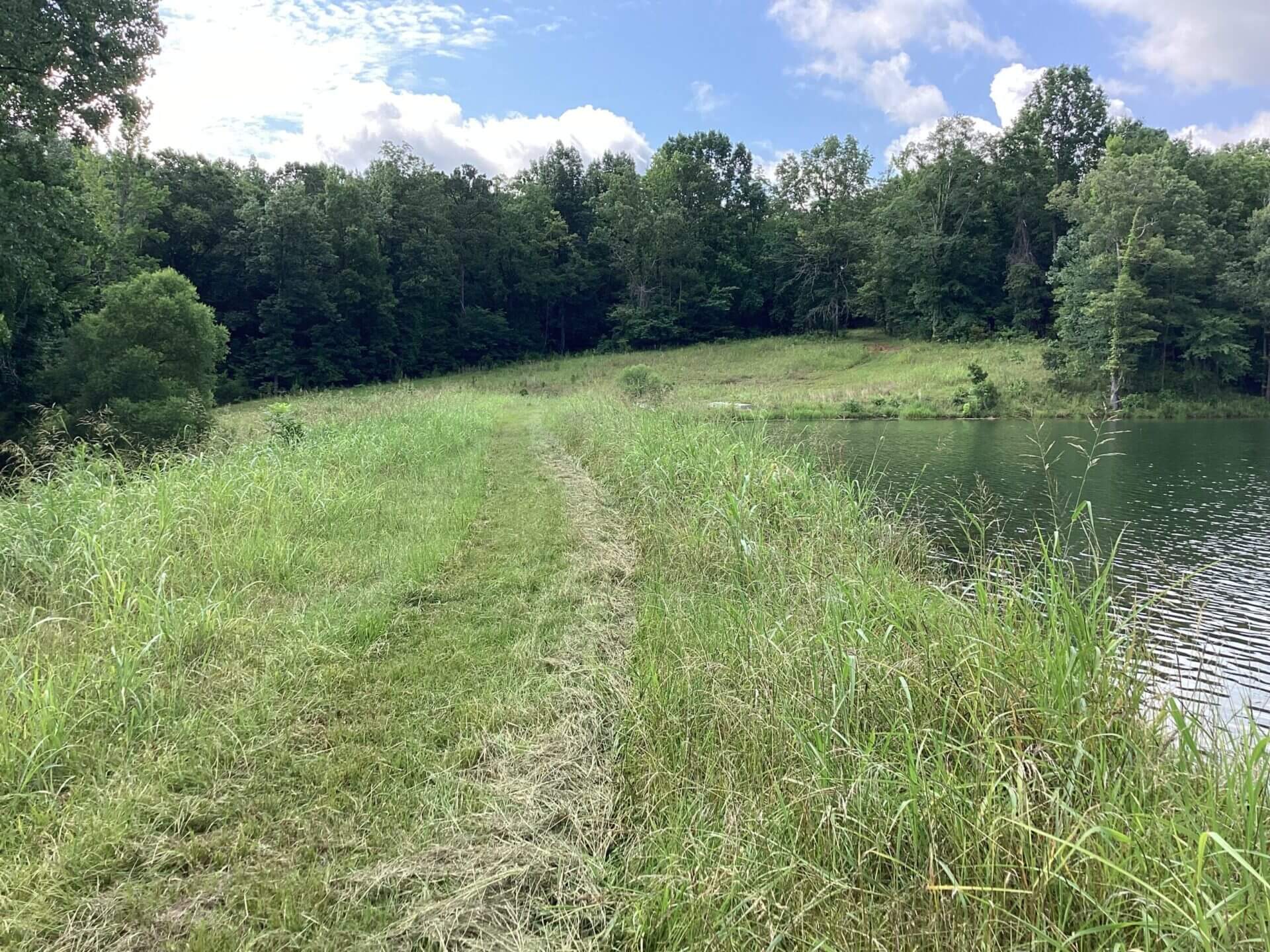 ROCKY MOUNT ROAD TRACT – 100 +/- ACRES – CRENSHAW COUNTY, ALABAMA ...