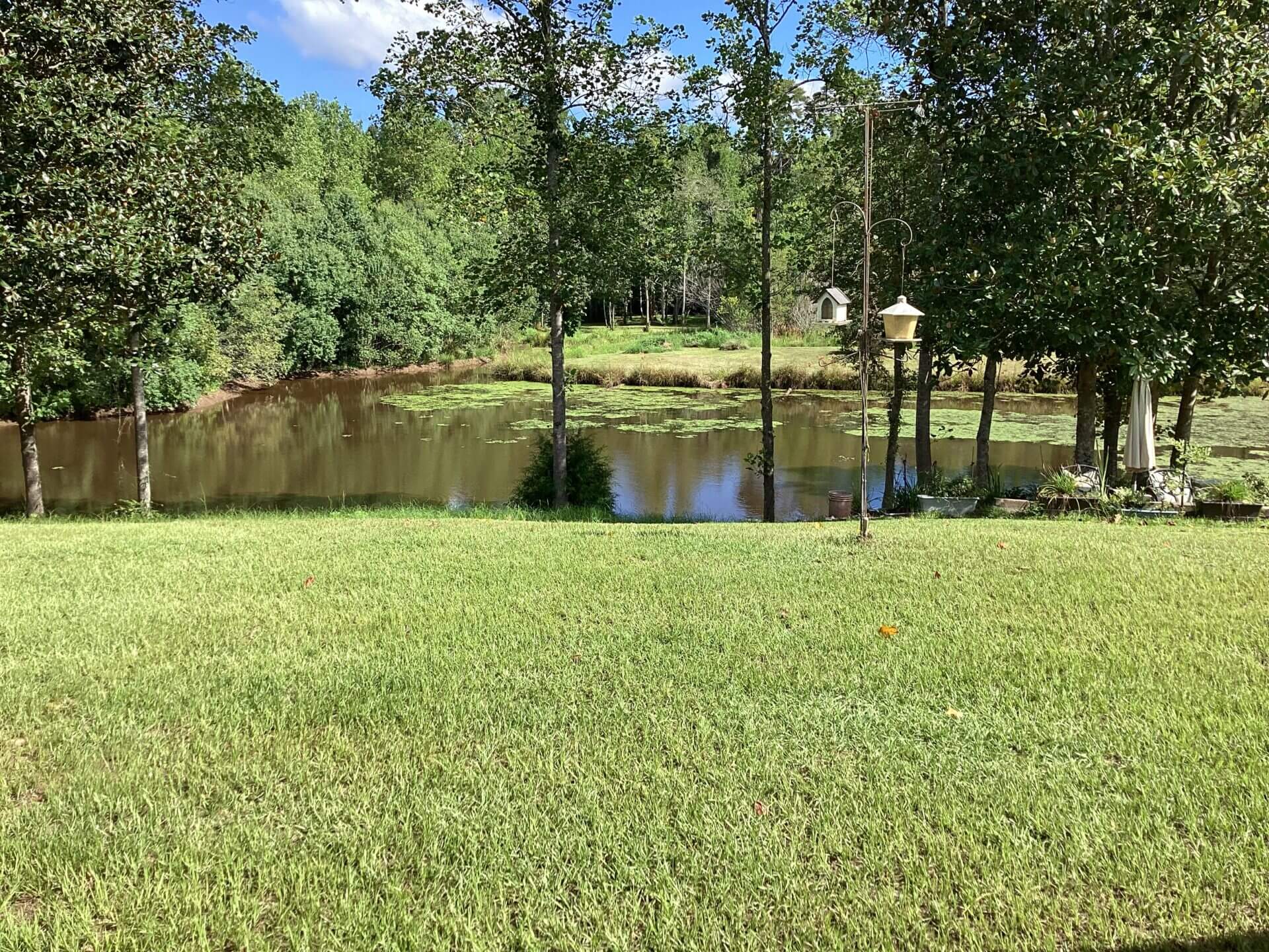 BALLARD RD TRACT RV AND POND, 13 +/- acres – LUVERNE, ALABAMA | Butler ...