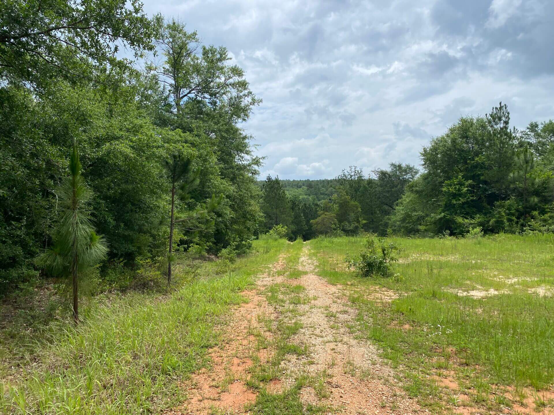 HIGHWAY 45 TRACT – 84 ACRES – MOBILE COUNTY, ALABAMA | Butler Land ...