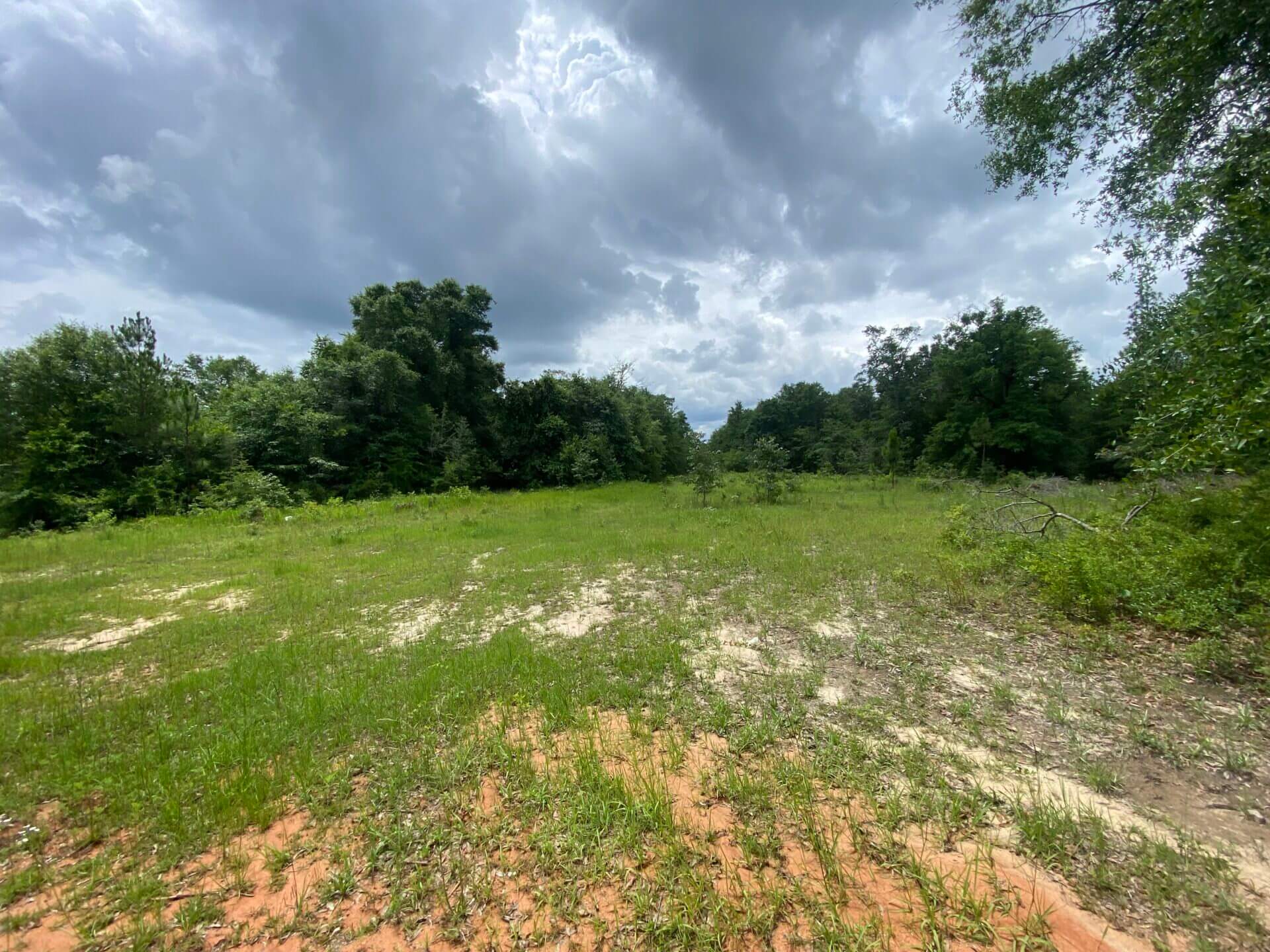 HIGHWAY 45 TRACT – 84 ACRES – MOBILE COUNTY, ALABAMA | Butler Land ...