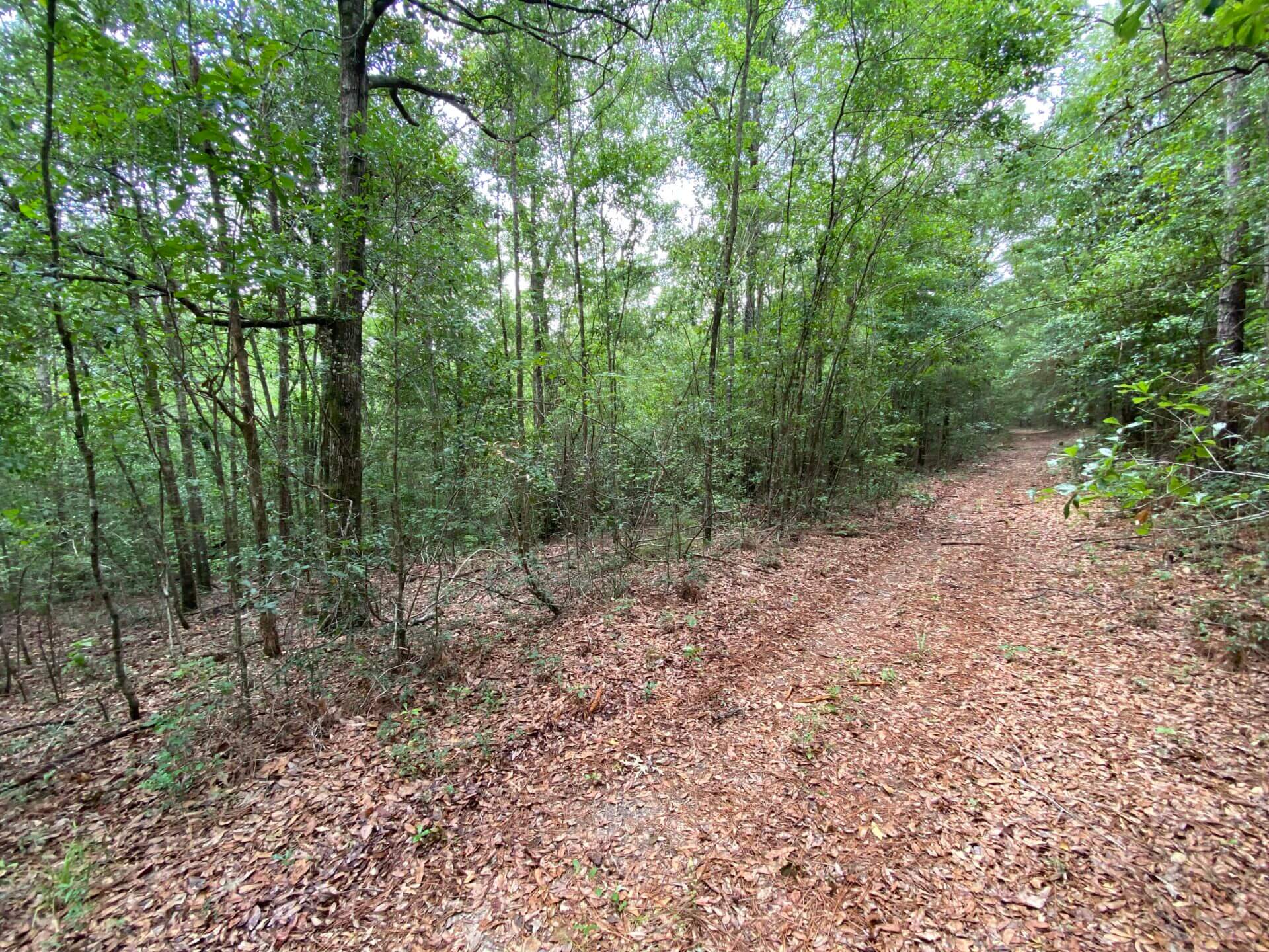 HIGHWAY 45 TRACT – 84 ACRES – MOBILE COUNTY, ALABAMA | Butler Land ...