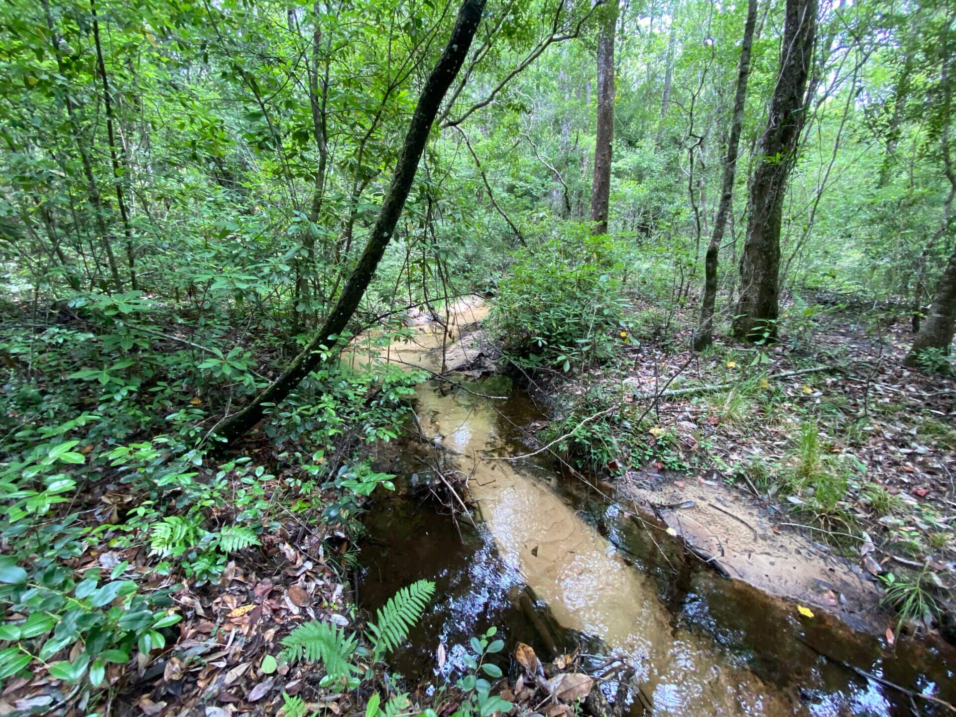 HIGHWAY 45 TRACT – 84 ACRES – MOBILE COUNTY, ALABAMA | Butler Land ...
