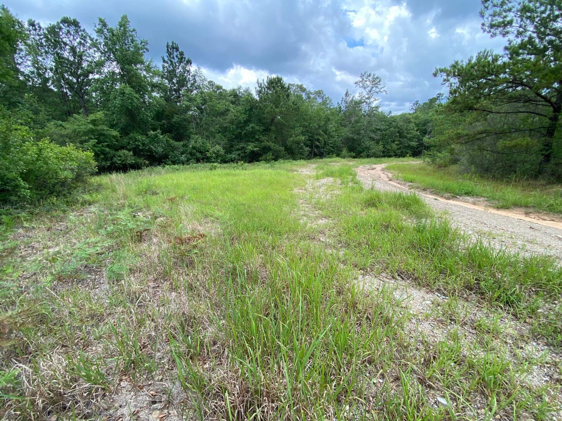 HIGHWAY 45 TRACT – 84 ACRES – MOBILE COUNTY, ALABAMA | Butler Land ...