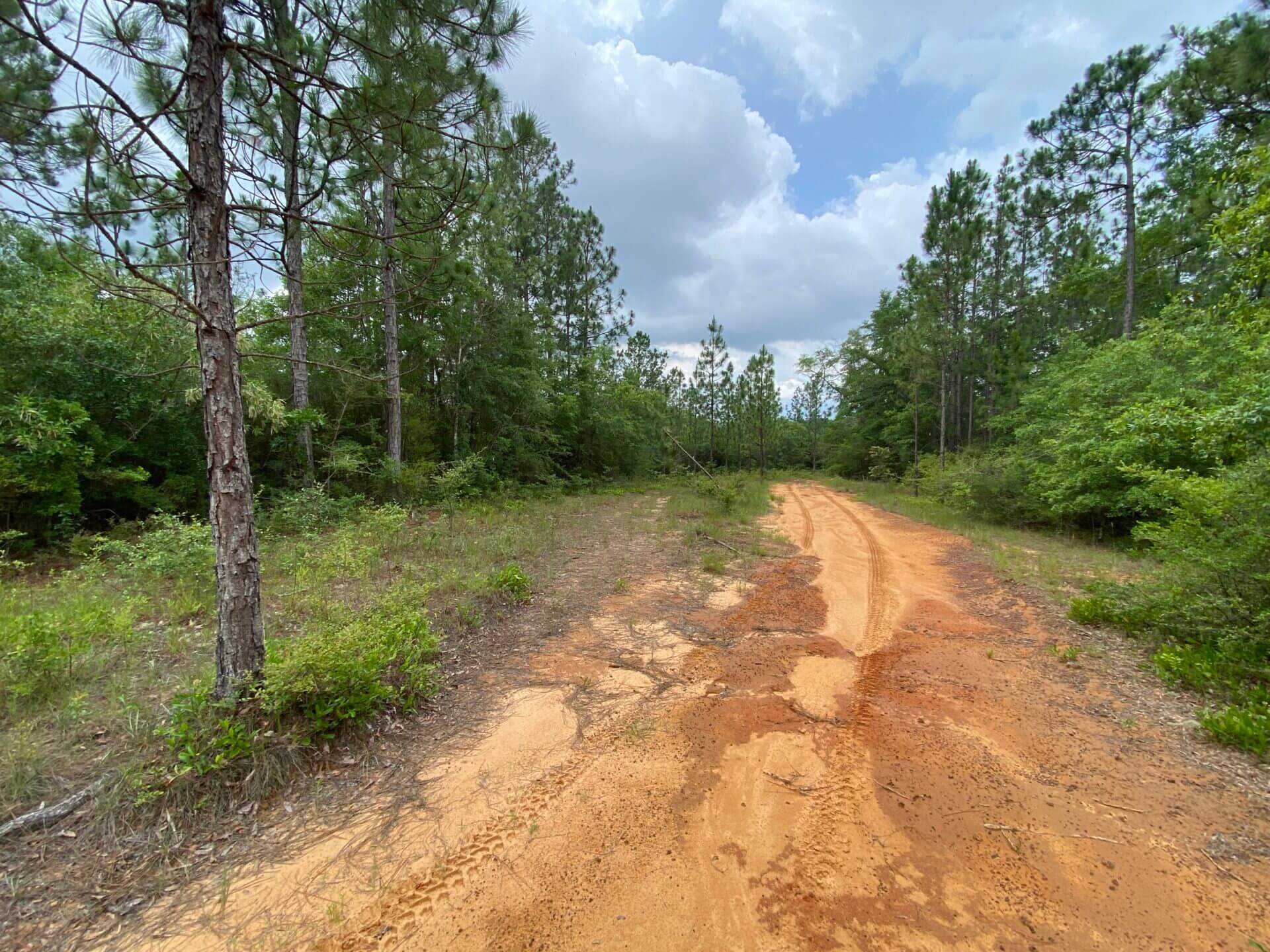 HIGHWAY 45 TRACT – 84 ACRES – MOBILE COUNTY, ALABAMA | Butler Land ...