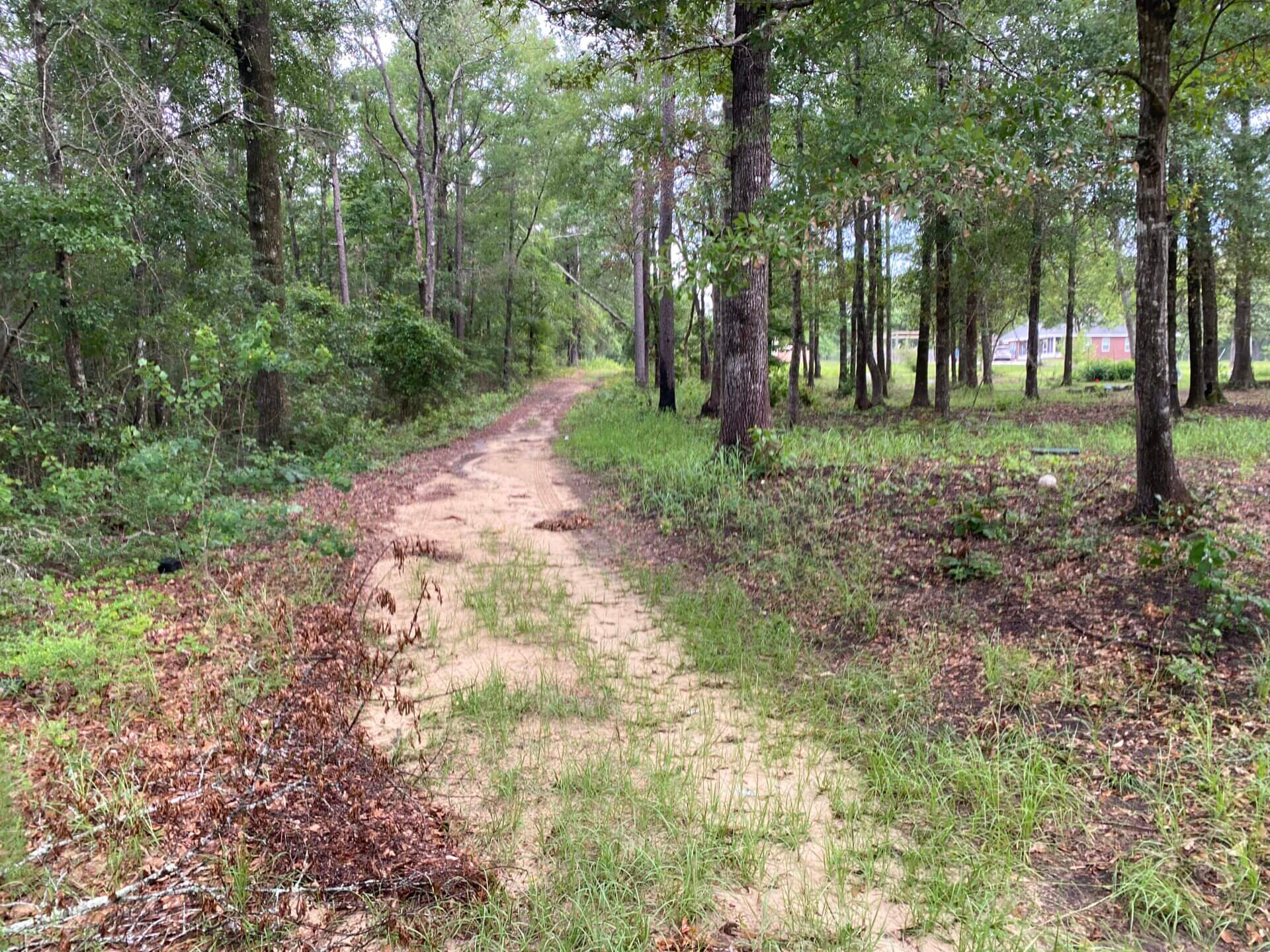 HIGHWAY 45 TRACT – 84 ACRES – MOBILE COUNTY, ALABAMA | Butler Land ...