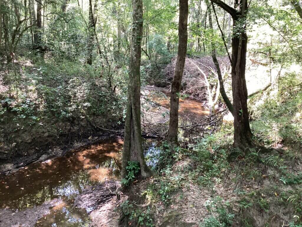 Home [butlerlandandtimber.com]