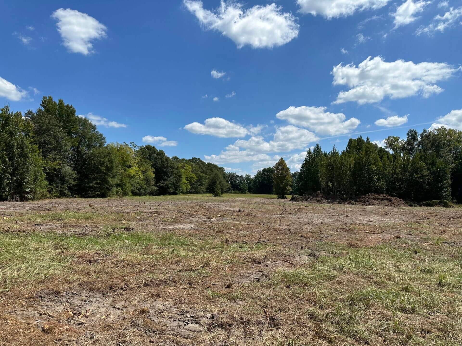HIGHWAY 80 TRACT – 40 ACRES – DALLAS COUNTY | Butler Land & Timber Co