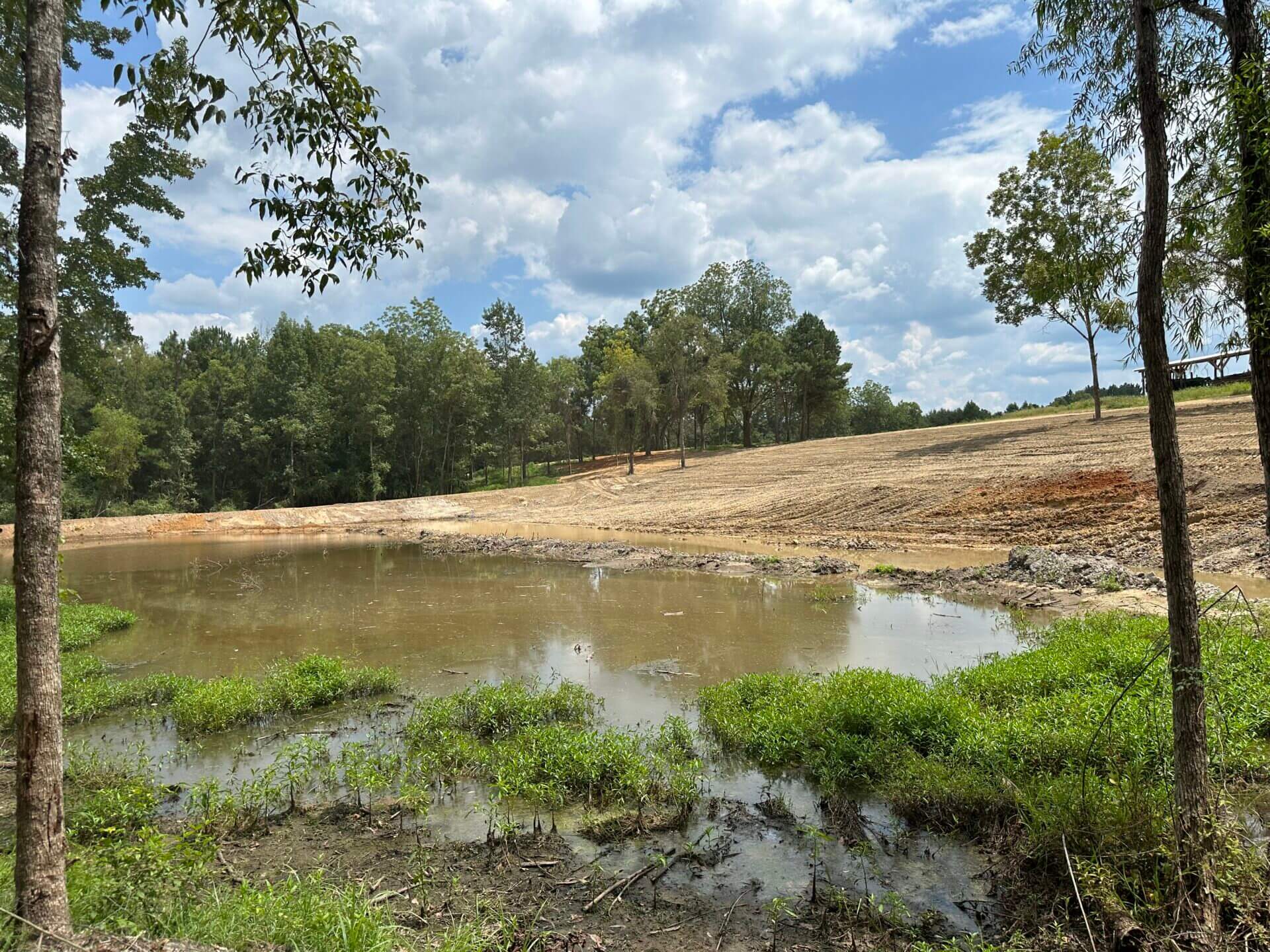 MASHY CREEK TRACT – 43 ACRES – BUTLER COUNTY, ALABAMA | Butler Land ...